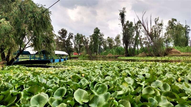 Xochimilco Day Trip: Farmland Food and Hop on a Trajinera - What to Expect and What to Bring