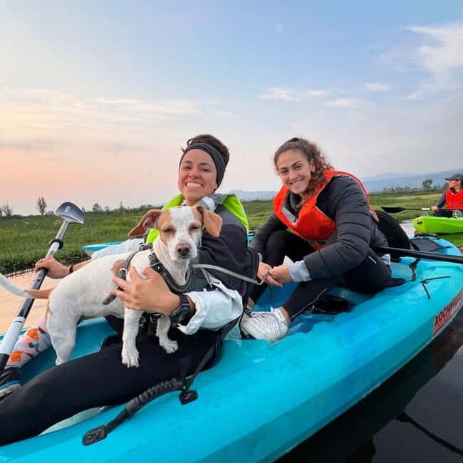 Xochimilco: Kayak Tour and Axolotl Watching - A Gentle Introduction to Xochimilco’s Unique Ecosystem