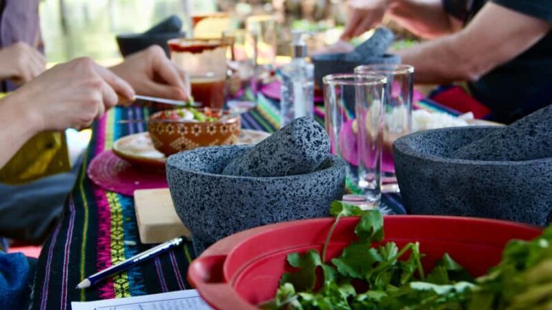 Xochimilco: Mexican Culture and Cuisine Tour - Key Points