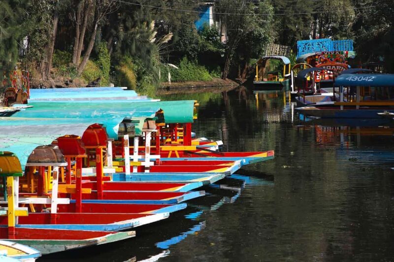 Xochimilco: Party on a trajinera with food, drinks, and music - Authenticity and Value
