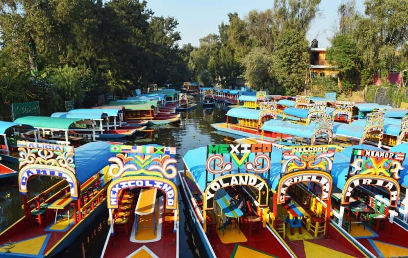 Xochimilco: Party on a trajinera with food, drinks, and music - Who Will Love This Tour?