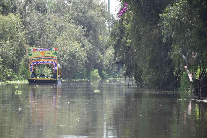 Xochimilco Serene: A Calm Cultural Escape from the Crowds - A Detailed Look at the Experience