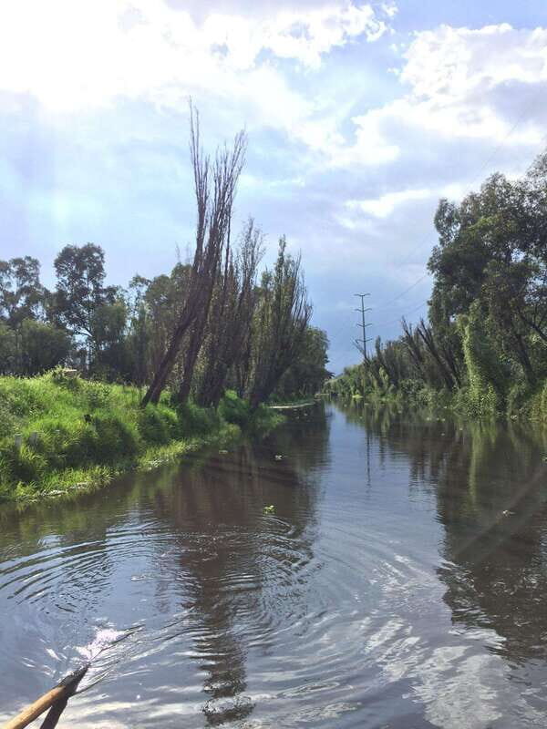 Xochimilco Serene: A Calm Cultural Escape from the Crowds - FAQs