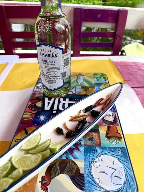 Xochimilco's Wild Side: Mezcal, Insects & Culture - Authenticity and Value