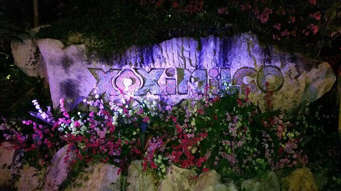 Xoximilco: Boat Fiesta Tour, Tasting, Tequila Bar and Transport - What Is Xoximilco’s Boat Fiesta?