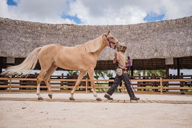 Xploration Animal Encounters Half Day Tour from Punta Cana - Authentic Feedback from Travelers