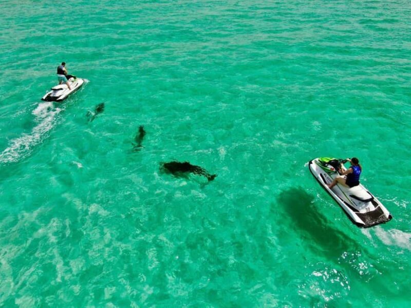 Xtreme H2o Destin: Jet Ski Dolphin Tour - Key Points