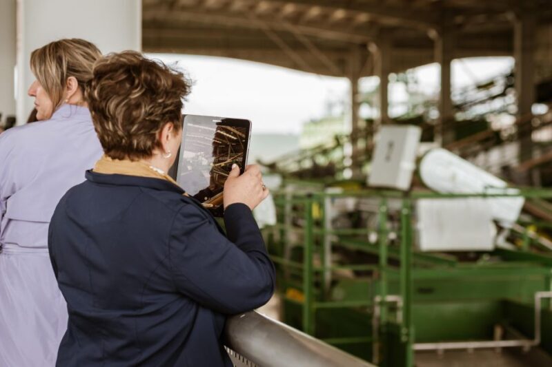 XXI Century Olive Oil Mill Tour - A Deep Dive into the Olive Oil Experience