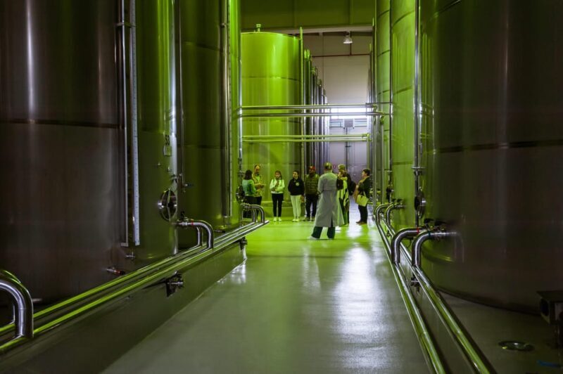 XXI Century Olive Oil Mill Tour - FAQ