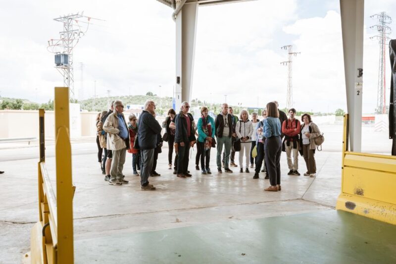 XXI Century Olive Oil Mill Tour - Final Thoughts