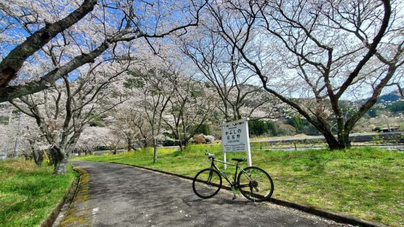 Yabakei Gorge Countryside Cycling Tour - Key Points