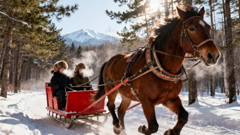 Yabuli and Snow Town in Harbin Two-Day Skiing Tour - An Overview of the Experience