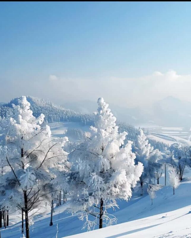 Yabuli Ski Resort Ski Ticket in Harbin - Key Points