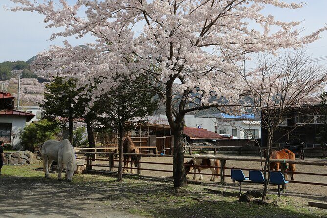 Yabusame Adventure with Mt. Fuji Views - Key Points