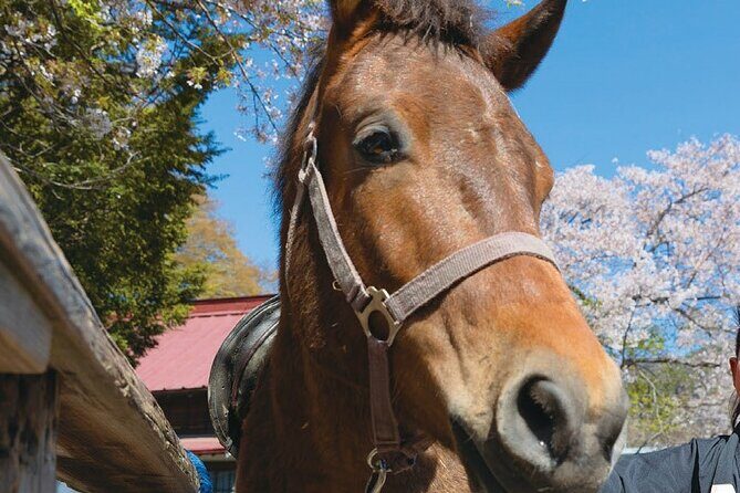Yabusame Adventure with Mt. Fuji Views - The Cultural and Environmental Significance