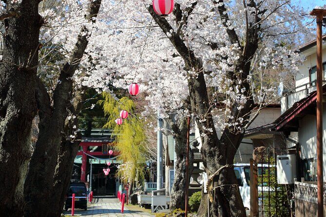 Yabusame Adventure with Mt. Fuji Views - Price and Value