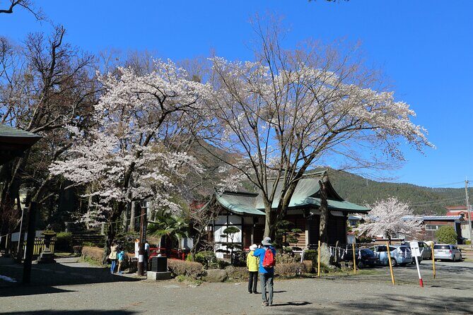 Yabusame Adventure with Mt. Fuji Views - Who Is This Tour Best Suited For?
