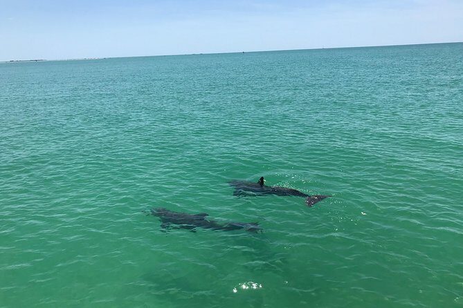 Yacht Charter Madeira beach and Tampa Bay - Key Points