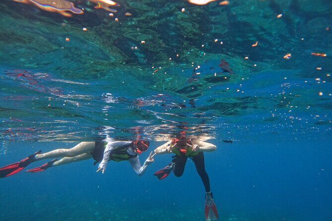 Yakushima Adventure Gear Rentals for Outdoor Fun - The Sum Up