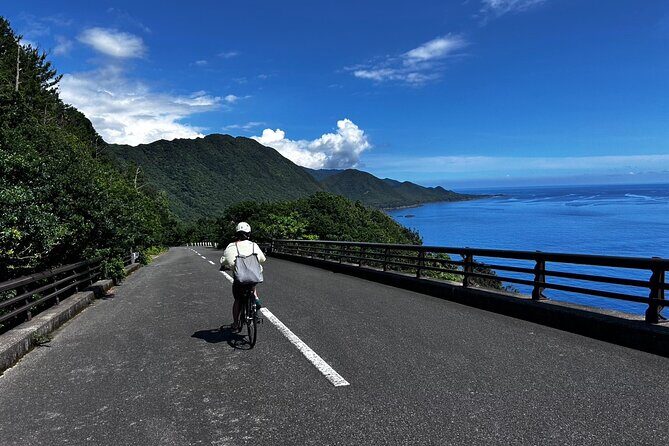 Yakushima Electric Bike Rentals - Real Traveler Insights