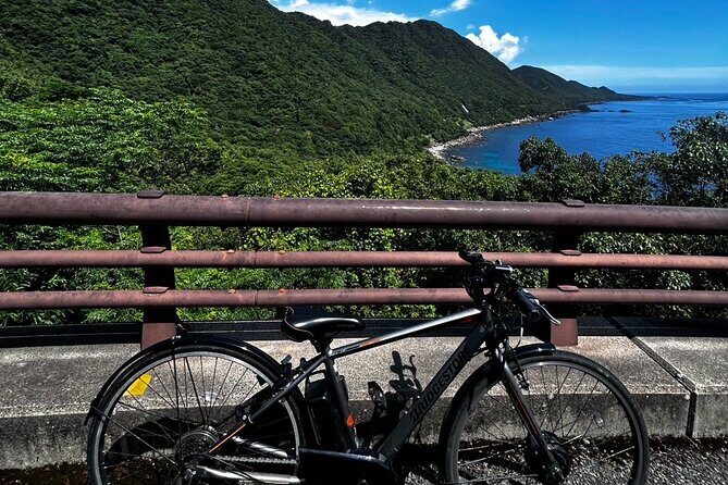 Yakushima Electric Bike Rentals - The Sum Up: Is It Worth It?