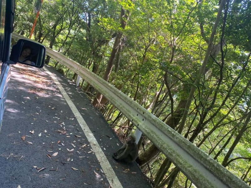 Yakushima: Private Guided Tour - FAQ