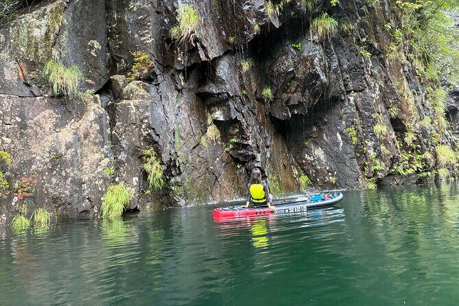 Yakushima Stand Up Paddle Boarding Adventure - What the Tour Includes and Why It Matters