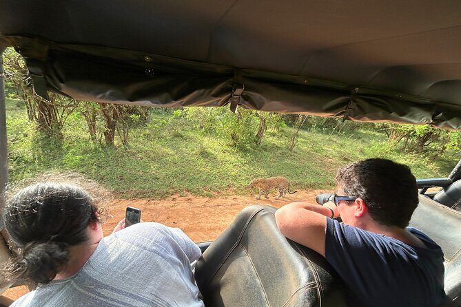 Yala 4h Jeep Safari: Guided Wildlife Experience (All Inclusive) - Who Should Book This Safari?