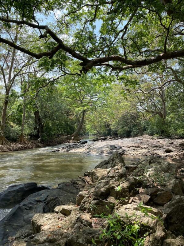 Yala: Bike and Tuk Tuk Tour with Wildlife and Temple Visit - A Practical Guide to the Yala Bike and Tuk Tuk Tour