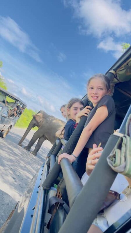 Yala: Bike and Tuk Tuk Tour with Wildlife and Temple Visit - The Sum Up