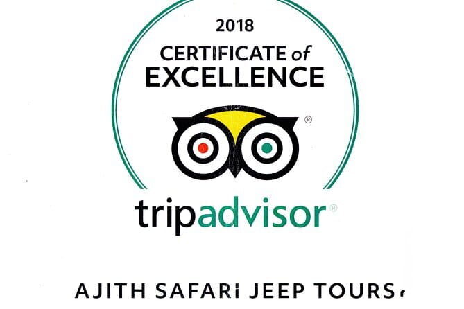 Yala Camping by Ajith Safari All Inclusive - Is It Worth the Price?