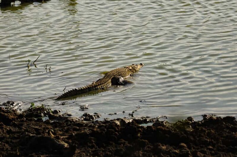 Yala Eco Safari Wild Conservation Expedition - Final Thoughts