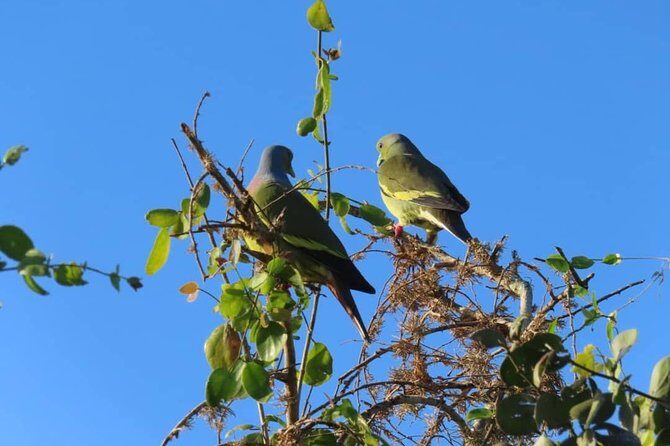 Yala Full Day Private Tour and Safari from Colombo or Negombo - What You Can Expect from This Tour