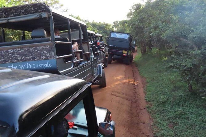 Yala Full Day Private Tour and Safari from Colombo or Negombo - Who Should Consider This Tour?