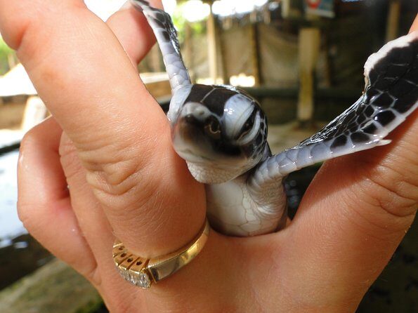 Yala Galle 2 Days Tour - Key Points