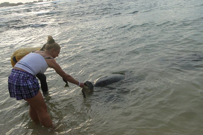 Yala Galle 2 Days Tour - What You Can Expect from the 2-Day Adventure