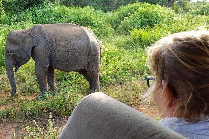 Yala half day safari - The Itinerary in Detail