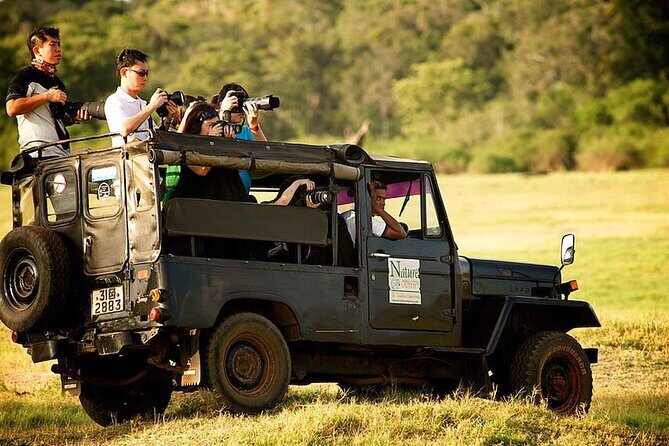 Yala Half Day Safari from Yala - Who Should Book This Safari?