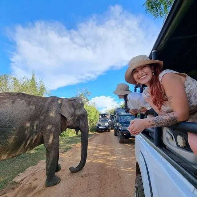 Yala National Park: All Inclusive Private Safari Day Trip - Price and Value Analysis