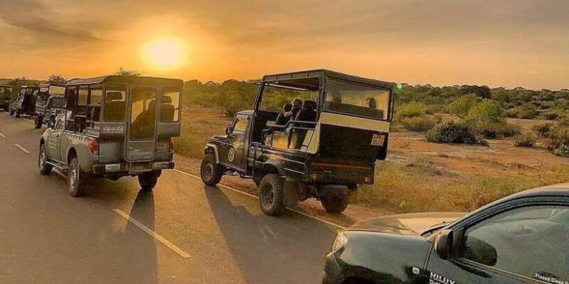 Yala National Park : Full Day Safari (04:30 am - 18:00 pm) - Why Choose This Yala Safari?