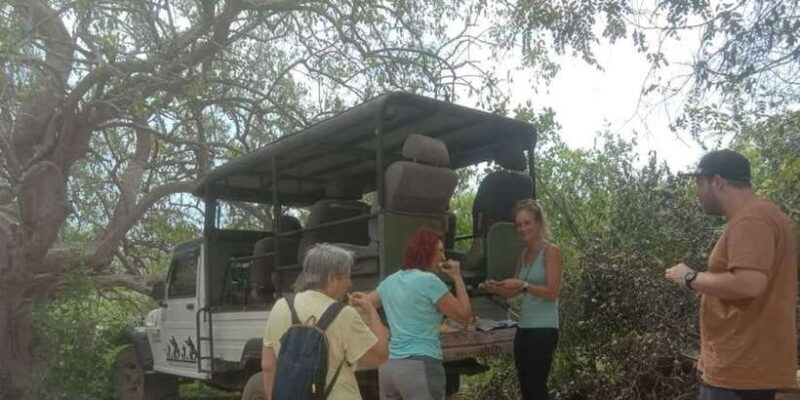 Yala National Park Full Day Safari - Key Points