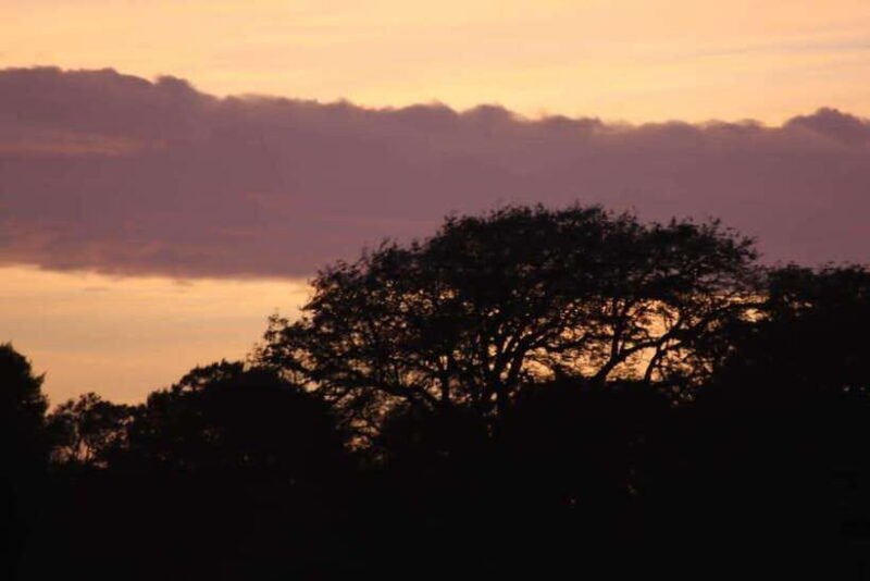 Yala National Park: Full day Safari Tour - Final Thoughts