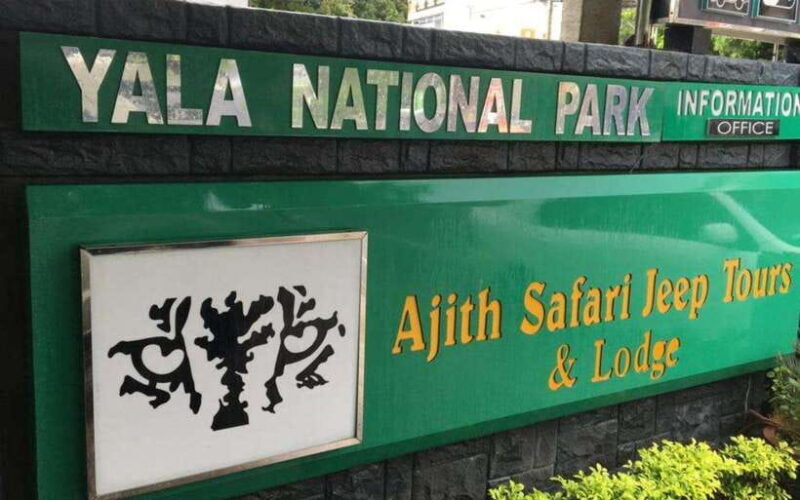 YALA National Park - Full Day Wildlife Safari with Lunch - Key Points