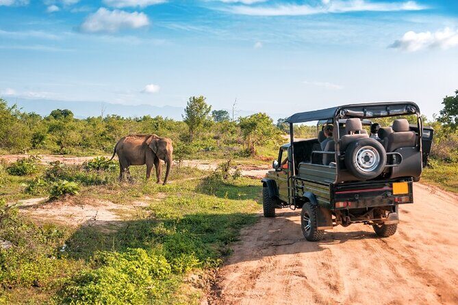 Yala National Park Half Day / Full Day Special Safari Tours - The Sum Up