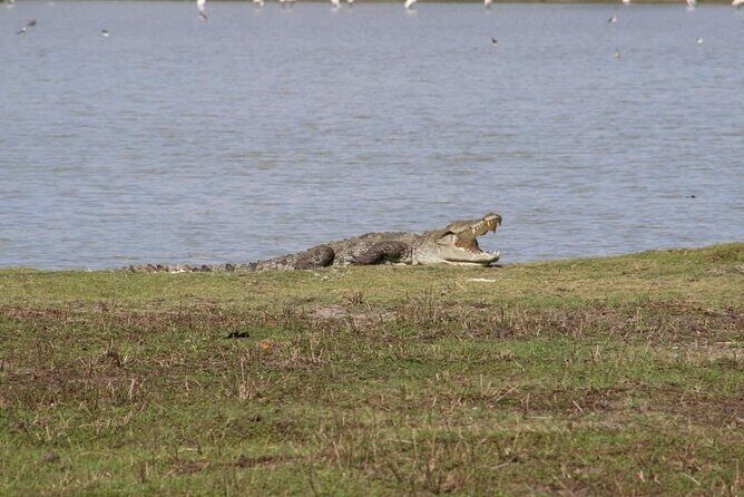 Yala National Park Half Day Safari - 4.30 a.m to 11.30 a.m - The Guides: The Heart of the Experience