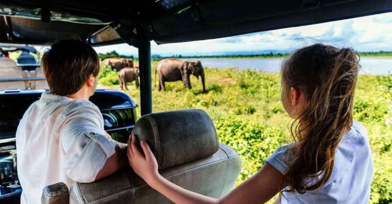 Yala National Park Half or Full-Day Safari - Exploring the Yala National Park Safari: An Informative Guide