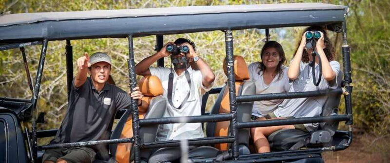 Yala National Park Jeep Safari: Leopards, Elephants & Wild - Who Will Love This Tour?