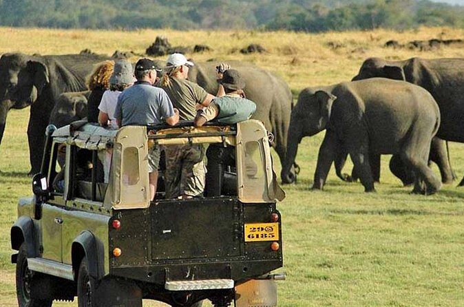 Yala National Park Leopard Safari Wildlife Private Adventure - Final Thoughts