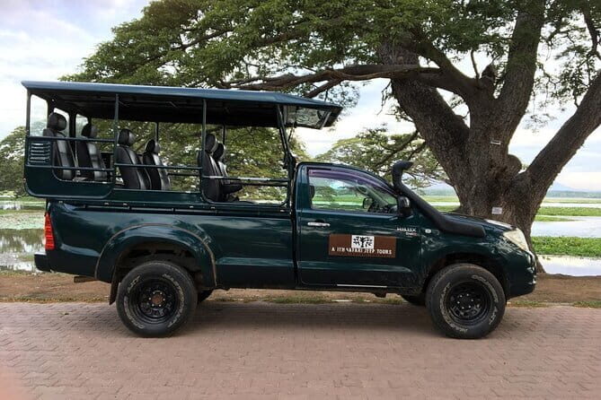 Yala National Park Morning or Afternoon Leopard Safari - Final Words: Is It Worth It?