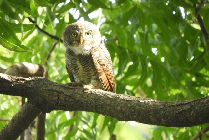 Yala National Park | Private Safari - Wrapping Up